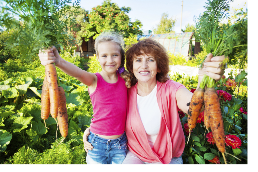 Visit a Farm with Your Grandchildren! - Hull-O Farms